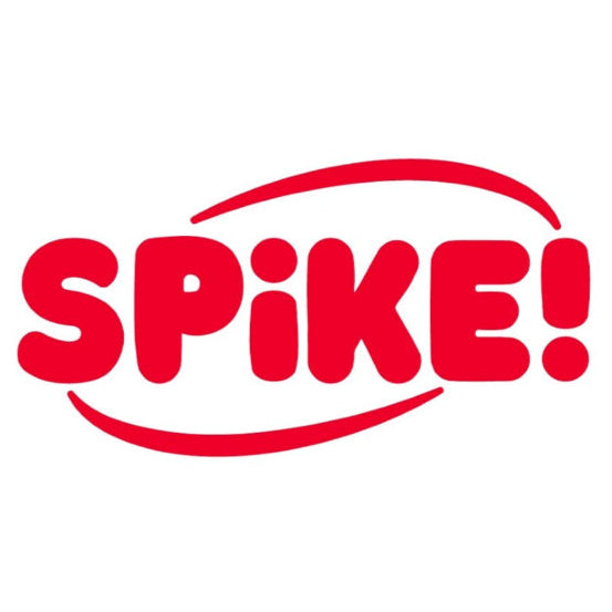 Spike Treat Square Dog Toy – Liberty Pet Products Limited