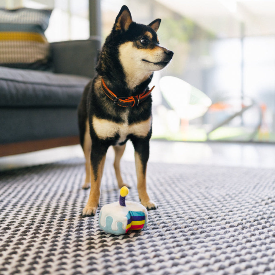 NEW! P.L.A.Y. Party Time - Bone-Appetite Cake, MINI Size – Liberty Pet ...